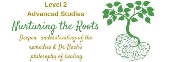 Bach Flower Remedies Training Classes, Bach International Education ...
